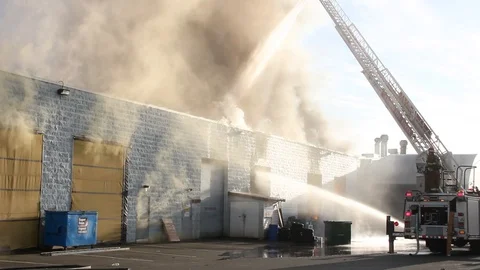 Fighting Vack Stock Videos – Royalty-Free HD & 4K Videos