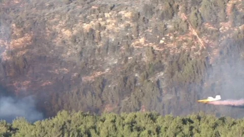 Fire fighting plane fly low and spray fi... | Stock Video | Pond5