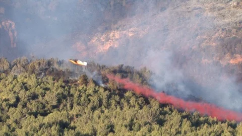 Fire fighting plane fly low and spray fi... | Stock Video | Pond5