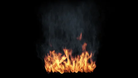 Fireplace Loop Stock Videos – Royalty-Free HD & 4K Videos