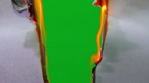Fire flame burning paper to show green s... | Stock Video | Pond5