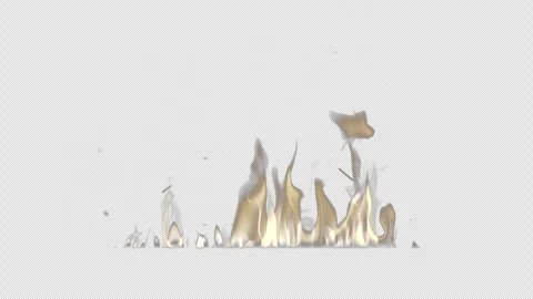 Fire flame on transparent background VFX | Stock Video | Pond5