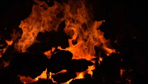 Fire flames on black background, Blaze f... | Stock Video | Pond5