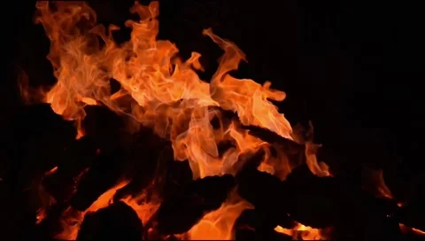 Fire flames on black background, Blaze f... | Stock Video | Pond5