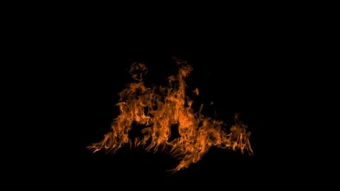Fire flames going upwards on an isolated... | Stock Video | Pond5