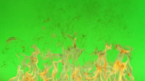 fire flames on green screen background | Stock Video | Pond5