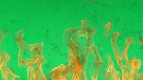 fire flames on green screen background | Stock Video | Pond5