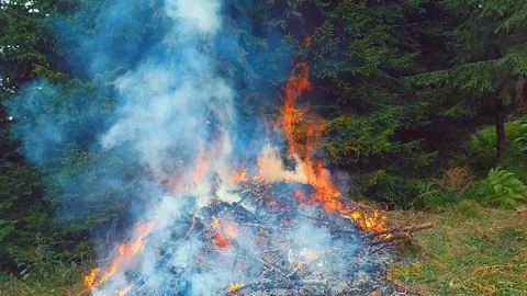 fire flames starting to ignite try branc... | Stock Video | Pond5