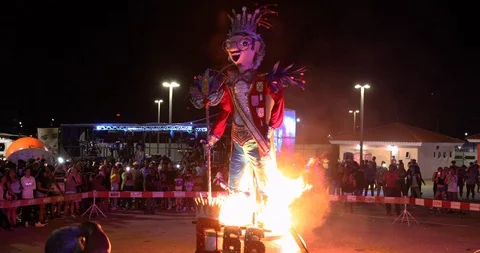 Momo Stock Footage ~ Royalty Free Stock Videos | Pond5