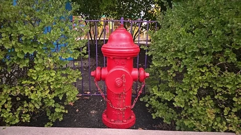 fire hydrant aesthetic in 4K | Stock Video | Pond5