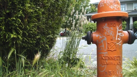 Fire hydrant in neighborhood | Stock Video | Pond5