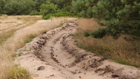 Fire Protection Stock Footage ~ Royalty Free Stock Videos | Pond5