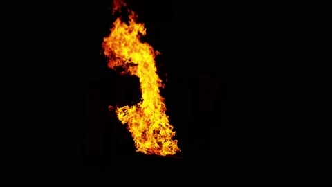 Sekar Line Stock Footage ~ Royalty Free Stock Videos | Pond5