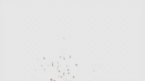 Fire Sparks Particles with Alpha Channel... | Stock Video | Pond5