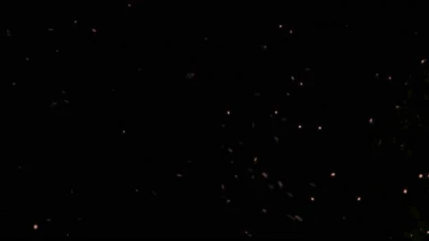 Fire sparks rising up with transparent a... | Stock Video | Pond5