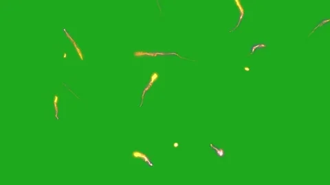 Fire trails motion graphics with green s... | Stock Video | Pond5