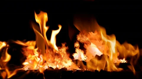 Fire Alpha Channel Stock Footage ~ Royalty Free Stock Videos | Pond5