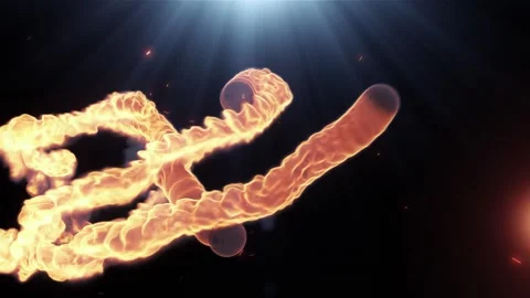 After Effects Template: Fireball Logo Intro #313062043