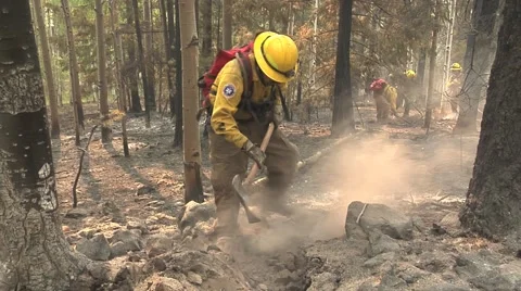 Firefighter with pulaski digging hot spo... | Stock Video | Pond5