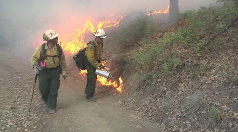 Firefighter starting back fire with drip... | Stock Video | Pond5