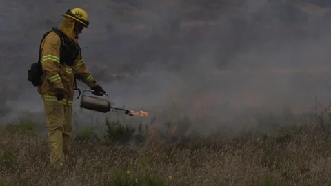 Firefighter starting controlled burn usi... | Stock Video | Pond5