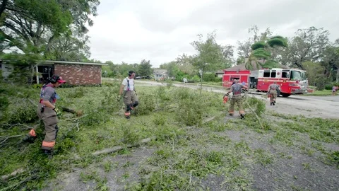 Firefighters remove branches from the st... | Stock Video | Pond5