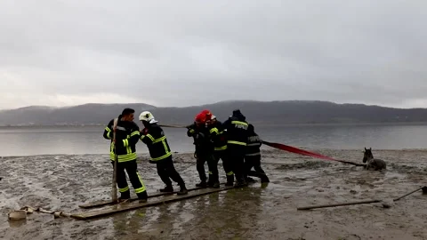 Mud Horse Stock Videos – Royalty-Free HD & 4K Videos | Pond5