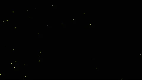 Fireflies. Set of 2. Black background. O... | Stock Video | Pond5