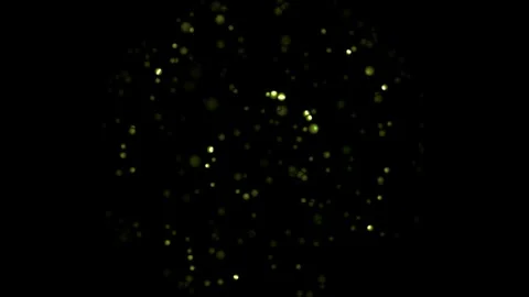 Firefly Animation Stock Videos – Royalty-Free HD & 4K Videos