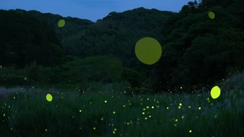 Stock Footage by Ruiruito | Official Pond5 Storefront