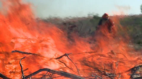 Bush Fire G Stock Videos – Royalty-Free HD & 4K Videos | Pond5