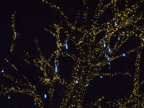 Eve Clips Stock Videos – Royalty-Free HD & 4K Videos