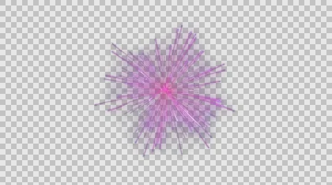Fireworks holiday background, Alpha PNG | Stock Video | Pond5