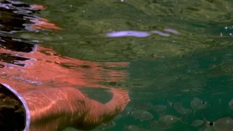 First-person POV of man floating on sea ... | Stock Video | Pond5