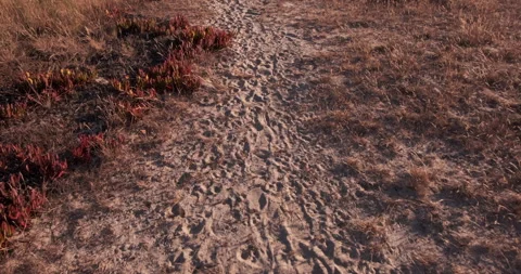 Walking First Person Stock Video Footage | Royalty Free Walking First ...