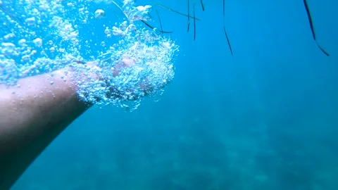 First Person View Swimming In Sea Stock Video Footage | Royalty Free ...