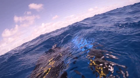 First person view of diver dived out of ... | Stock Video | Pond5