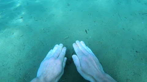 Person Diving Stock Video Footage | Royalty Free Person Diving Videos ...