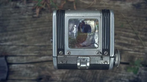 Vintage Camera Viewfinder Stock Video Footage | Royalty Free Vintage ...