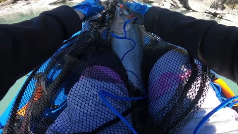 First Person Hooks Stock Videos – Royalty-Free HD & 4K Videos