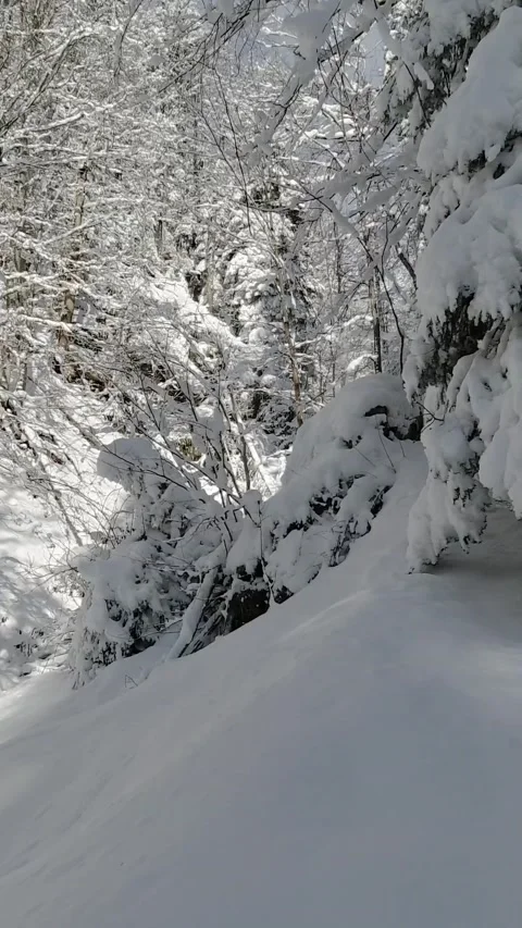 First person view walking winter sunny d... | Stock Video | Pond5