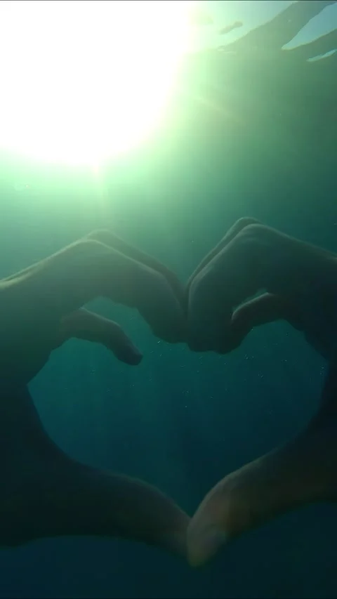 First Person View Swimming In Sea Stock Videos – Royalty-Free HD & 4K ...