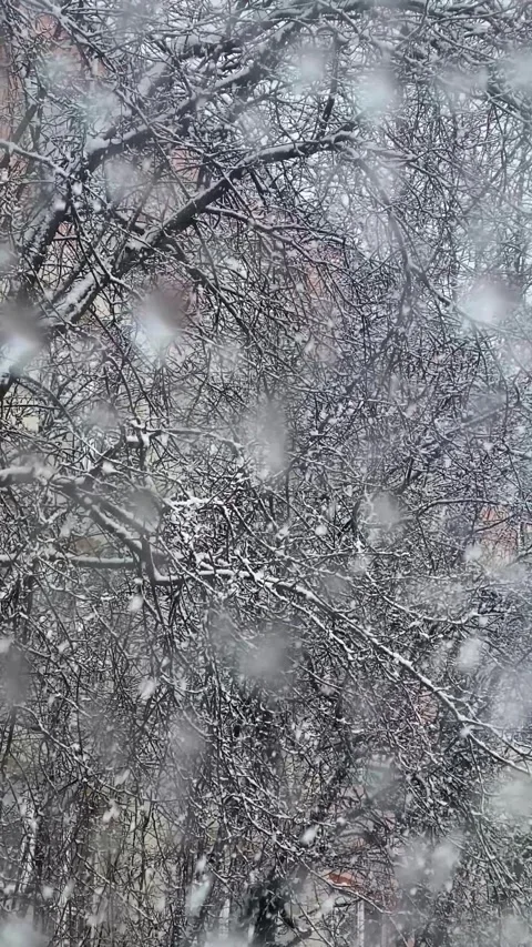 Through My Window Stock Videos – Royalty-Free HD & 4K Videos