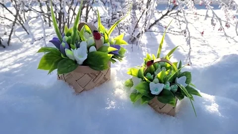Snowdrops Stock Videos – Royalty-Free HD & 4K Videos | Page 5