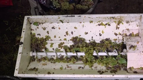 Excellence Stock Video Footage | Royalty Free Excellence Videos | Pond5