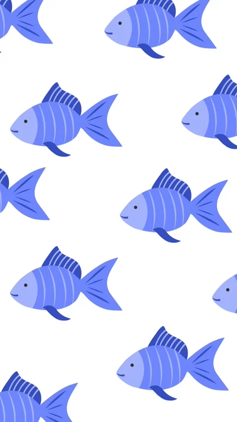 Seafood Doodle Stock Video Footage | Royalty Free Seafood Doodle Videos ...