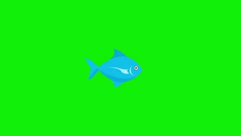 Fish animation swimming moving on green ... | Stock Video | Pond5