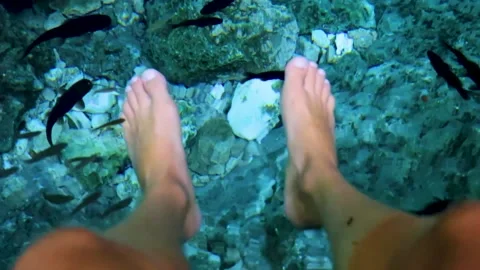 Fish bite feet in the water cenote Tajma... | Stock Video | Pond5