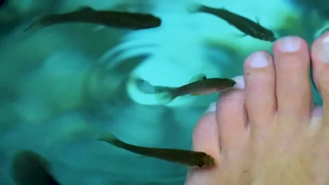 Fish bite feet in the water cenote Tajma... | Stock Video | Pond5