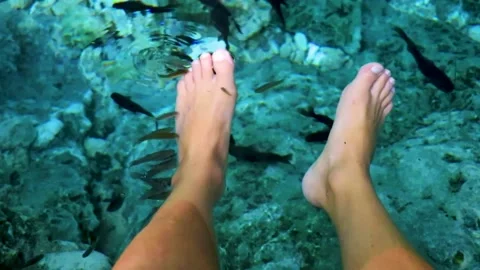 Fish bite feet in the water cenote Tajma... | Stock Video | Pond5